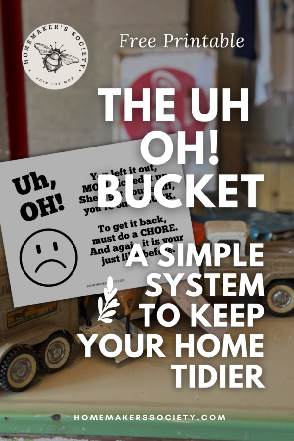 The Uh OH! Bucket: A Simple Chore Based System for Kids (and Moms ...