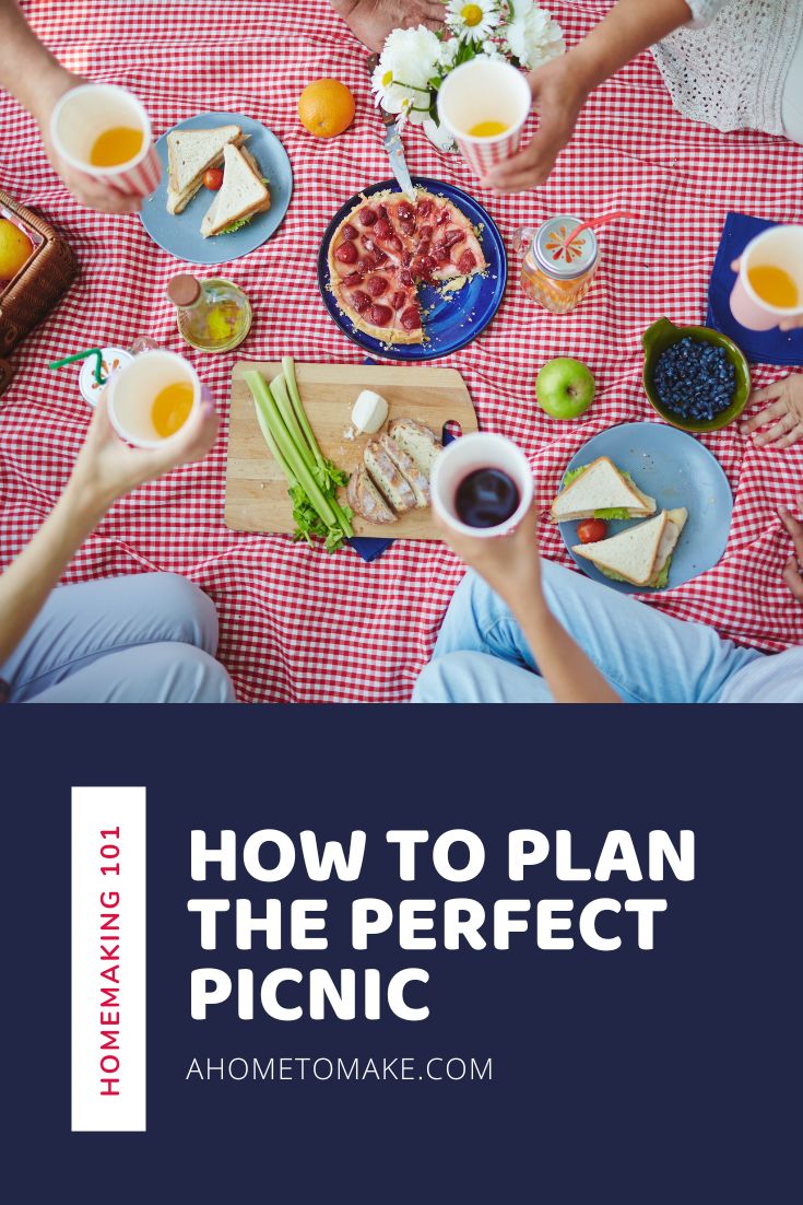 How to Plan a Picnic | The Perfect Picnic