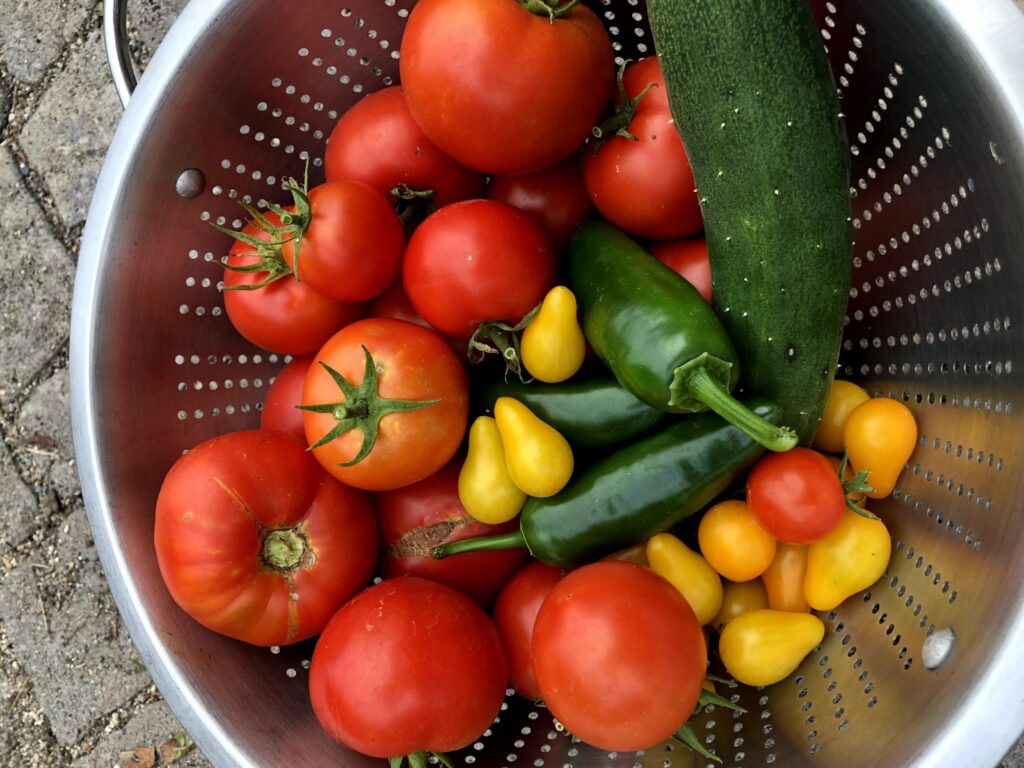 How to Be a Homemaker + Free Worksheet