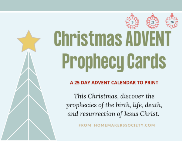 Christmas Advent Calendar: Scripture Cards | Free Printable