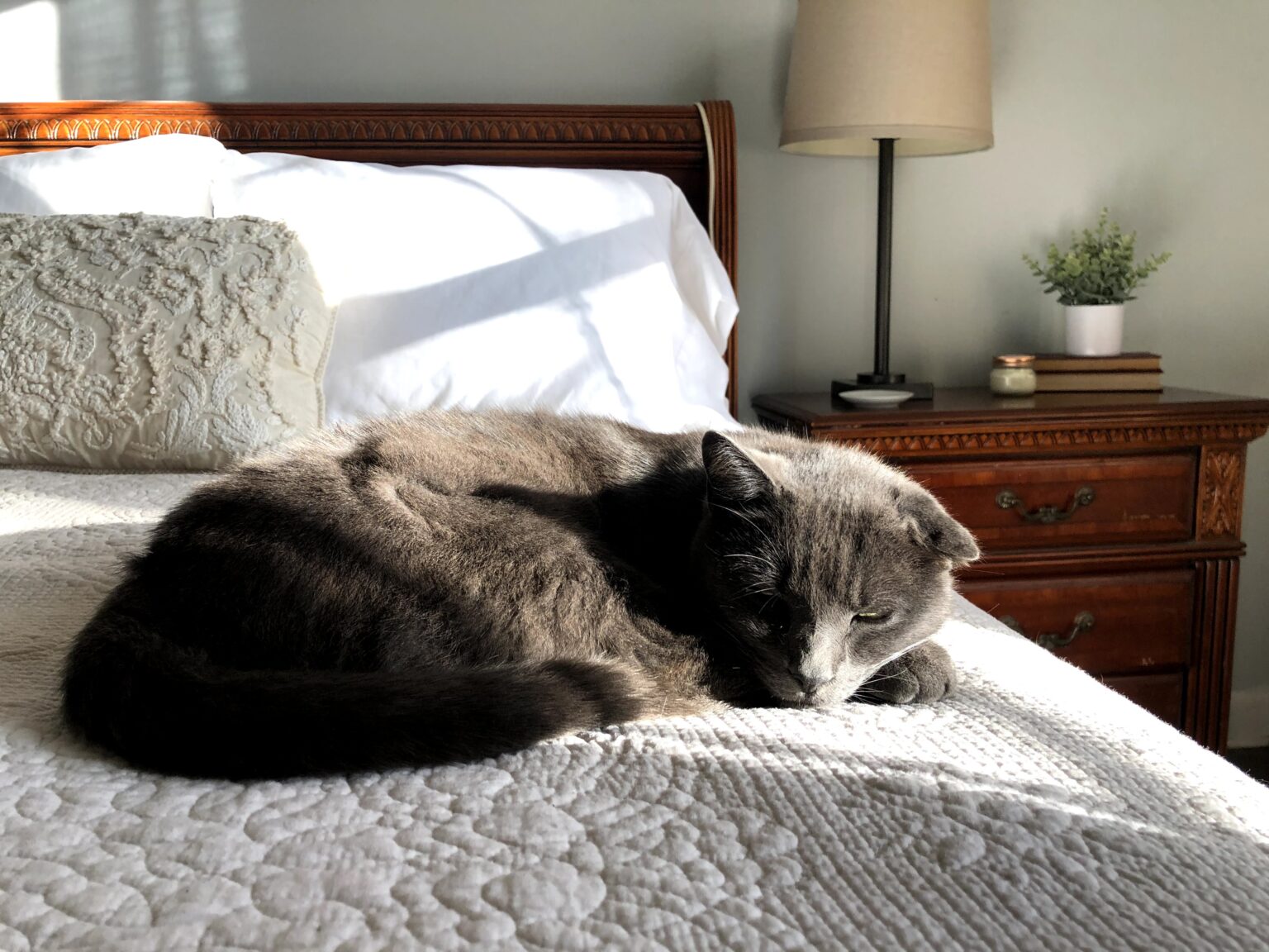 How to Make the Perfect Bed: Step by Step