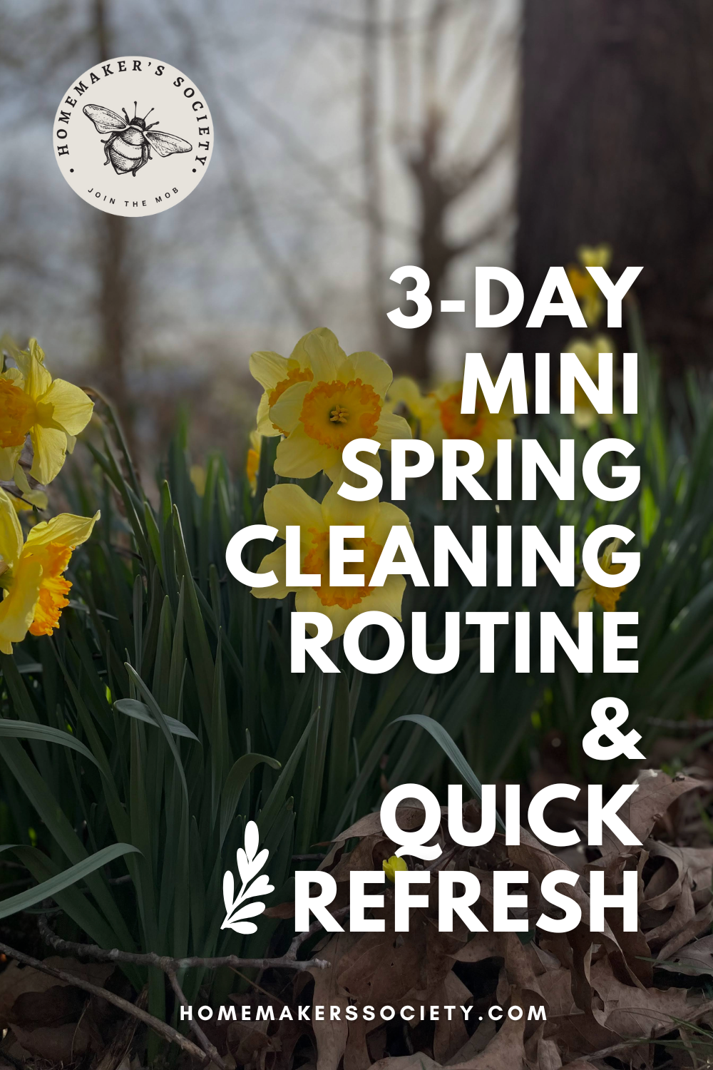 3-Day, Mini Spring Cleaning Routine: Quick Refresh for Your Home - The ...