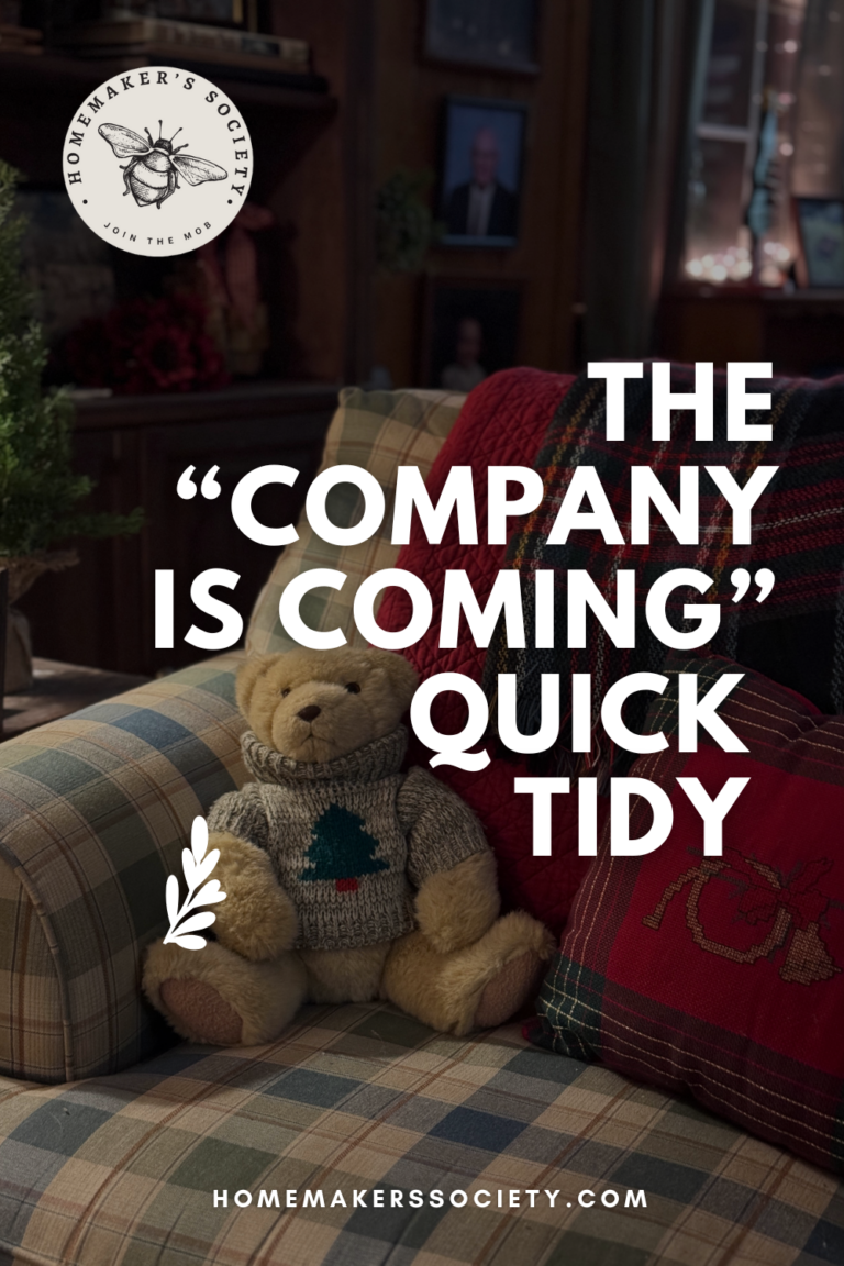 “Company is Coming” Quick Tidy Reset - The Homemaker's Society